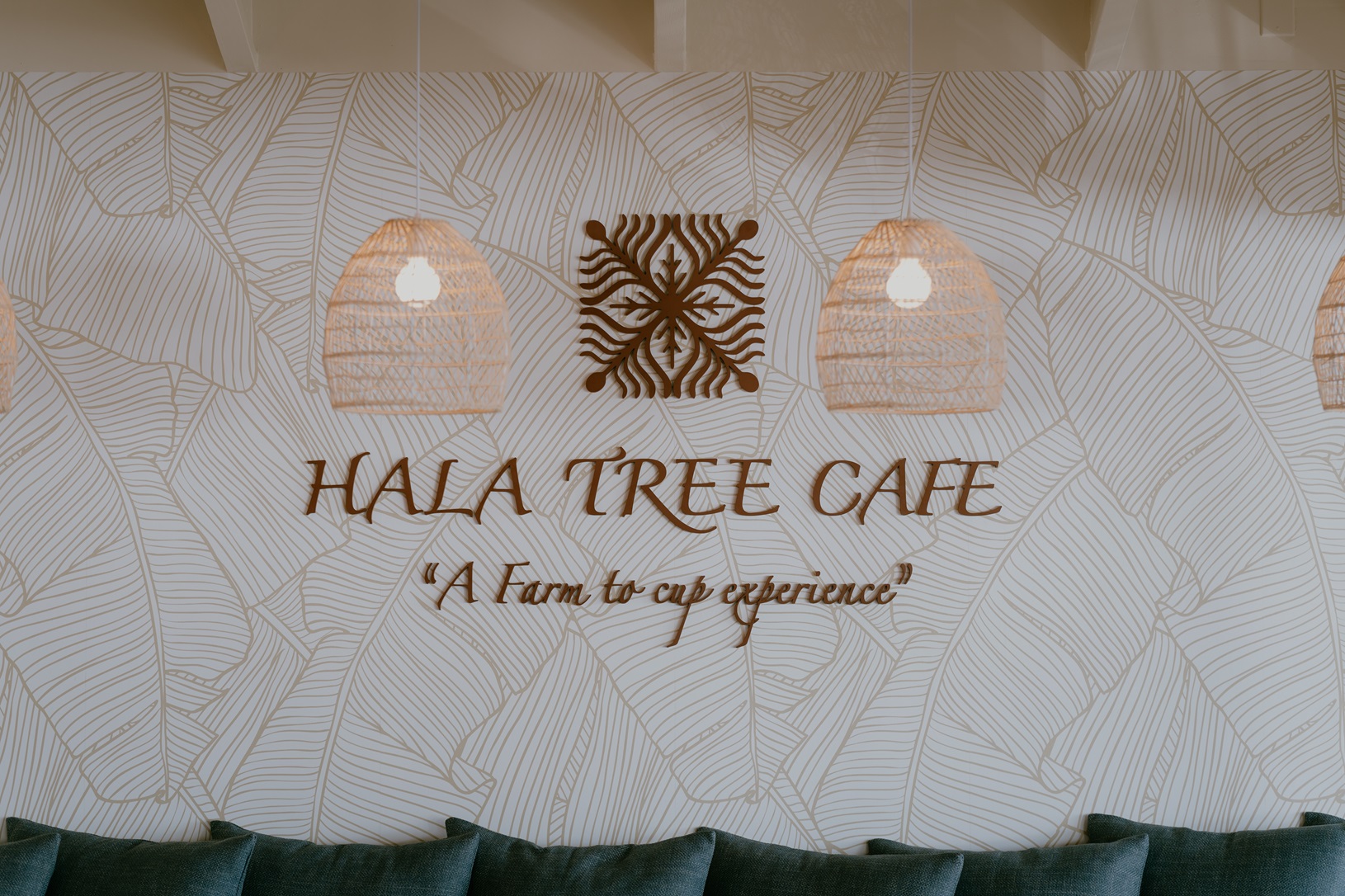 Hala Tree Cafe - Sprudge Maps